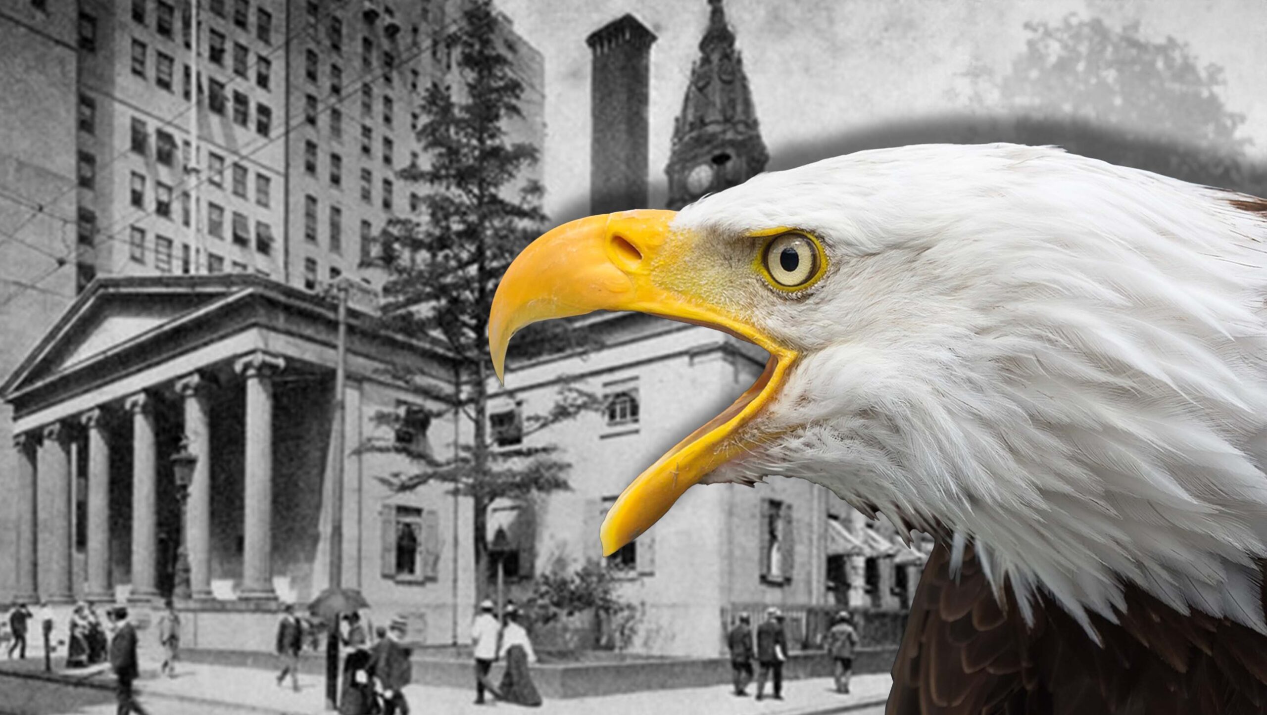 Peter the Eagle: The U.S. Mint’s Unofficial Pet Bird | The Internet Says it's True