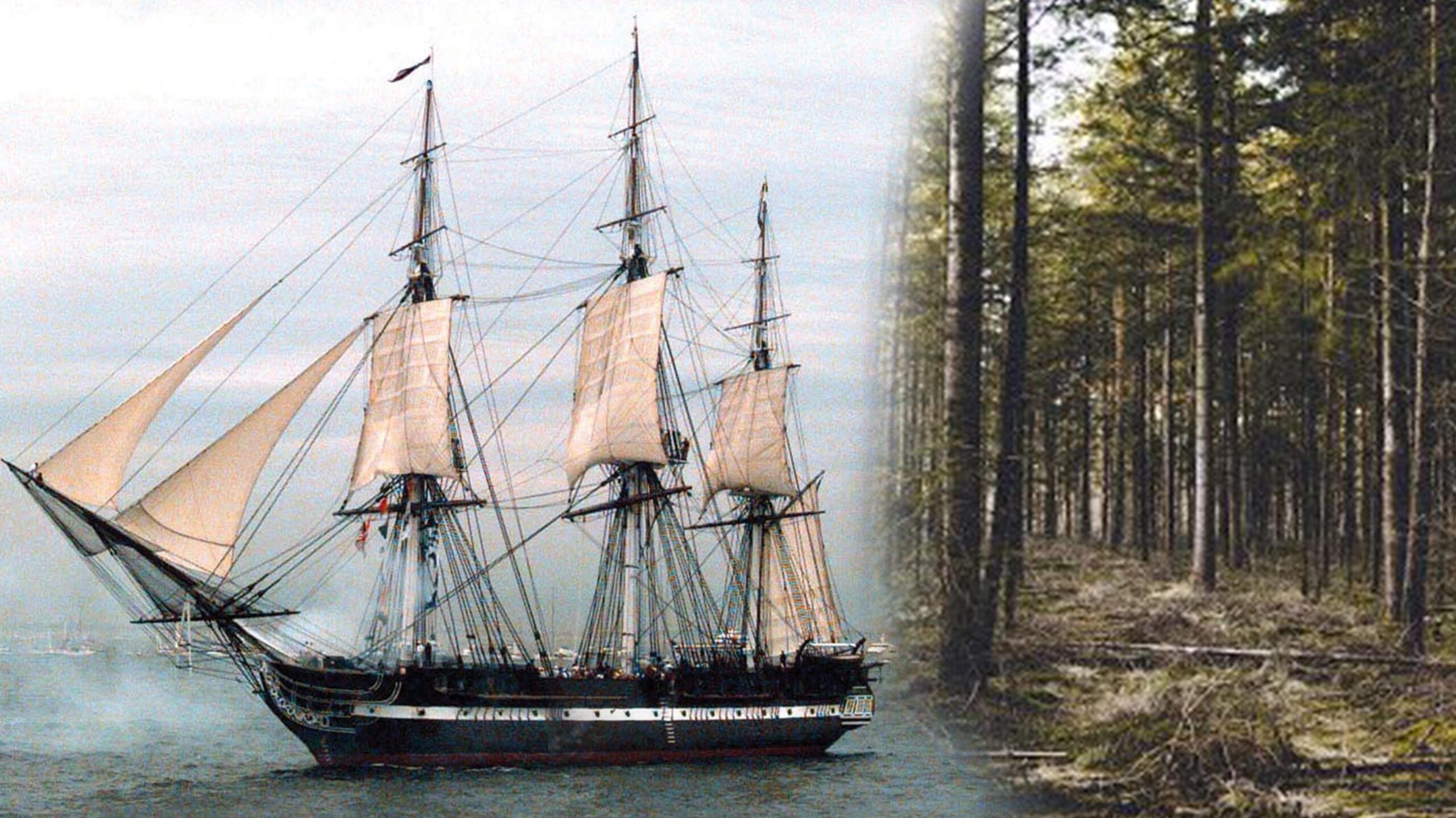 Constitution Grove: A Forest that Exists for a SINGLE Boat | The ...