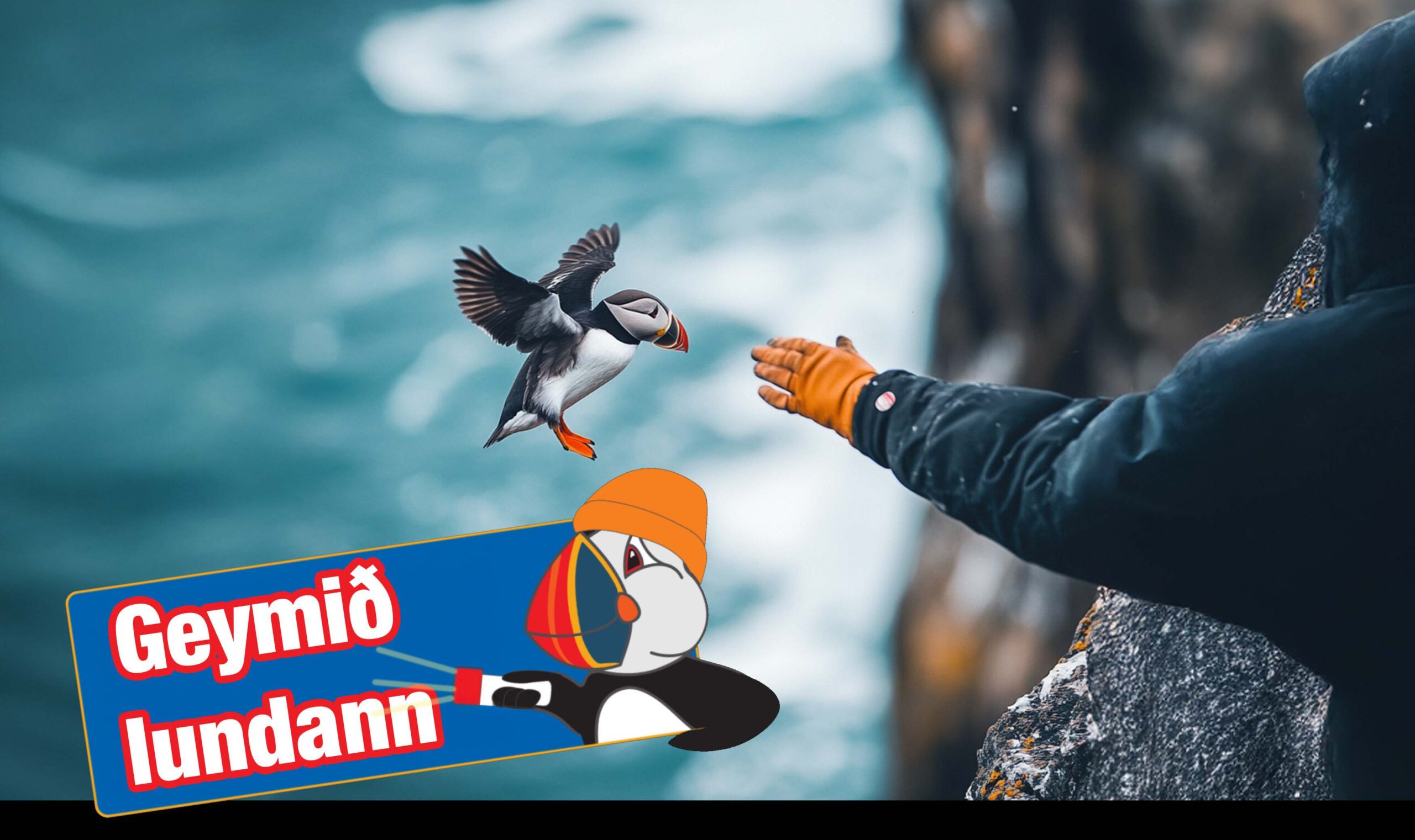 Puffin Patrol: Throwing Puffins off a Cliff | The Internet Says it's True