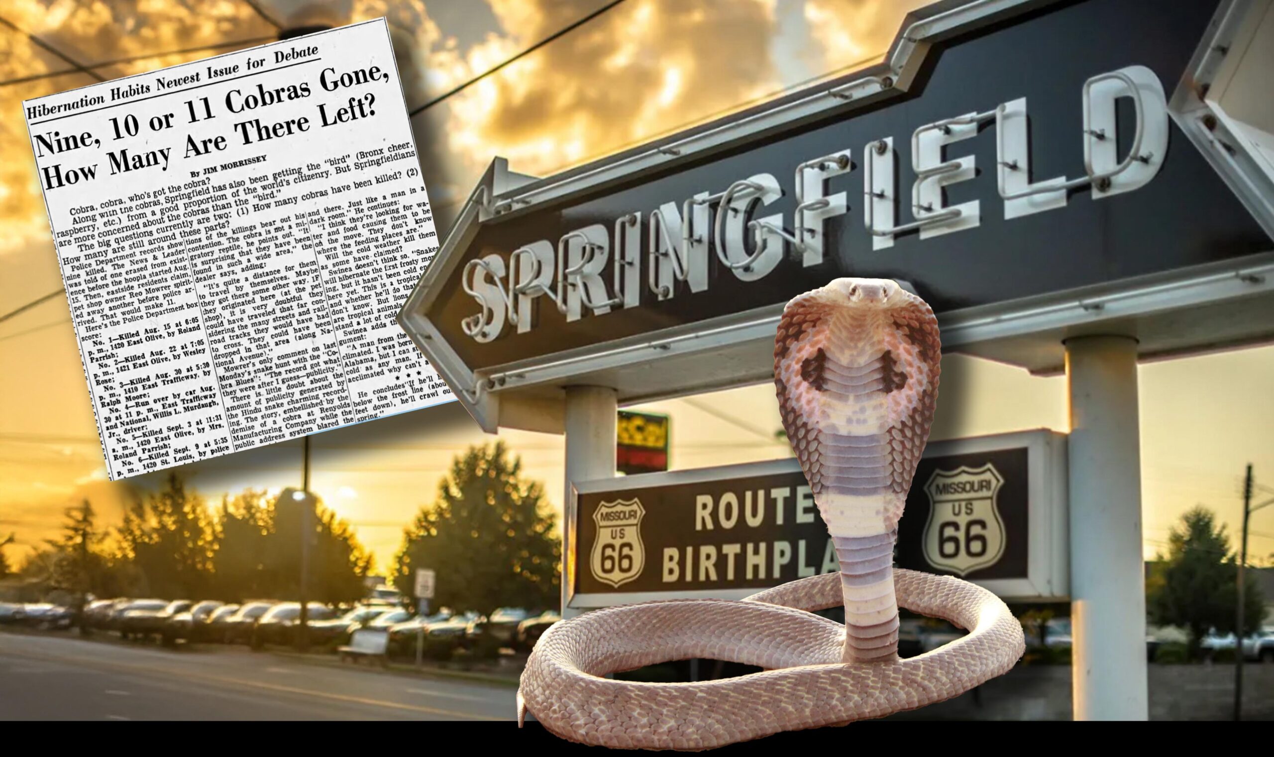 Cobra Invasion: The Springfield Snake Scare of 1953 | The Internet Says ...